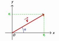 Comment dessiner un vecteur vitesse ? - phychiers.fr