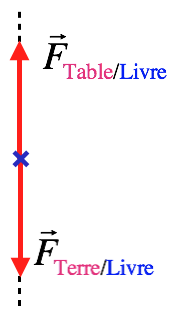 Forces : modèle des actions et interactions - phychiers.fr